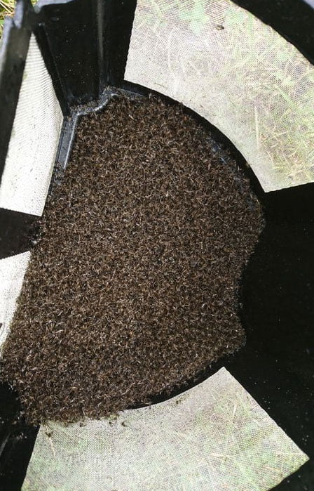 Myggfångare Bäst i Test 2025: Döda myggen på tomten - Testat.nu